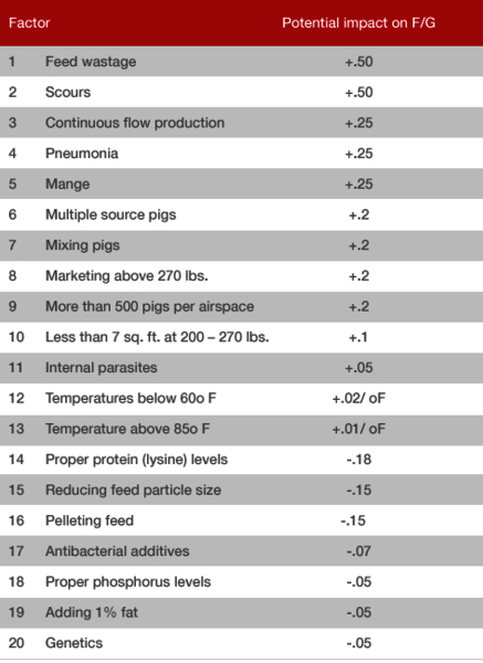 Improve Pig Feed Conversion Ratio | Purina Animal Nutrition