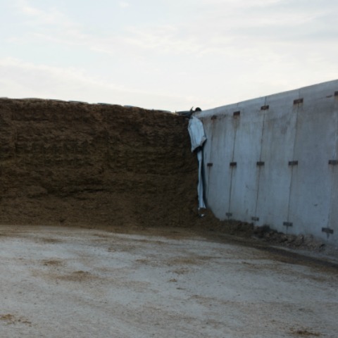 Tips and Tricks to Silage Storage | Purina Animal Nutrition