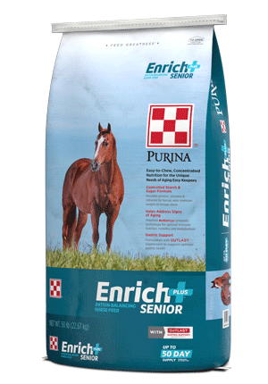Purina® Enrich Plus® Senior Ration Balancing Horse Feed | Purina