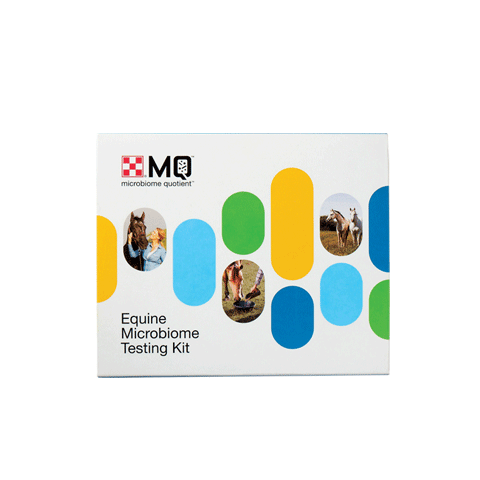 Purina® MQ™ Equine Microbiome Testing Kit| Purina Animal Nutrition