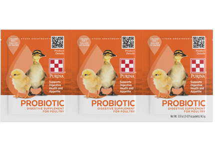 Purina® Probiotic Digestive Supplement for Poultry | Purina