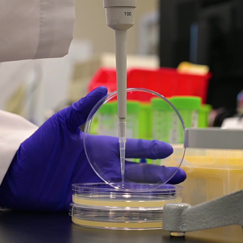 Advances in Microbiome Diagnostics| Purina Animal Nutrition