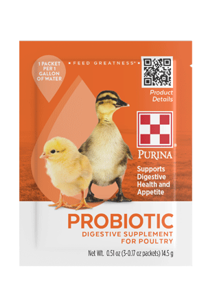Purina® Probiotic Digestive Supplement for Poultry | Purina