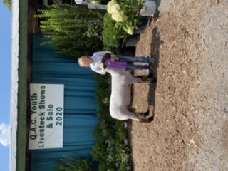 Purina Show Winner, Abby Jarrell