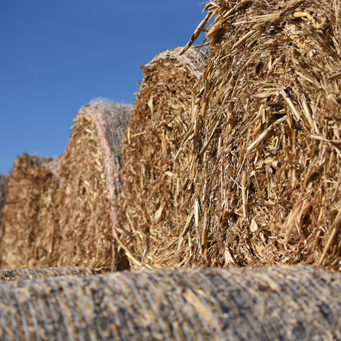 Reduce Winter Hay Waste for Cattle | Purina Animal Nutrition