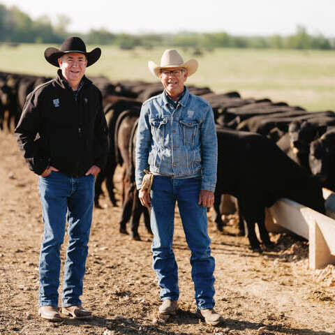 The 808 Ranch Pursues Perfection | Purina Animal Nutrition