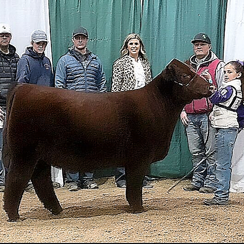 Supreme Champ Female Ring A/5th Overall Ring B